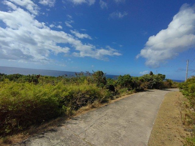 Properties Listed - Statia Realty | Real Estate in The Caribbean